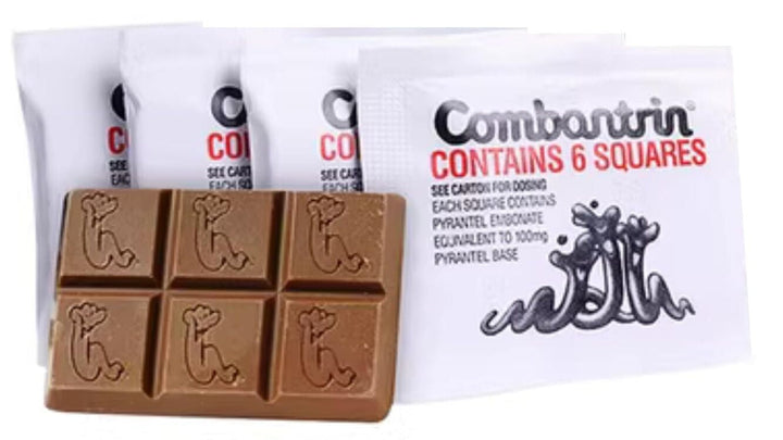 Combantrin® USA | Chocolate Squares for Pinworm Treatment – Combantrin USA