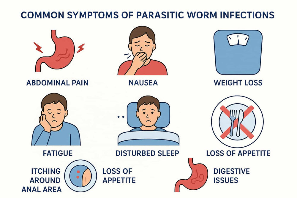 Combantrin® USA | Chocolate Squares for Pinworm Treatment – Combantrin USA